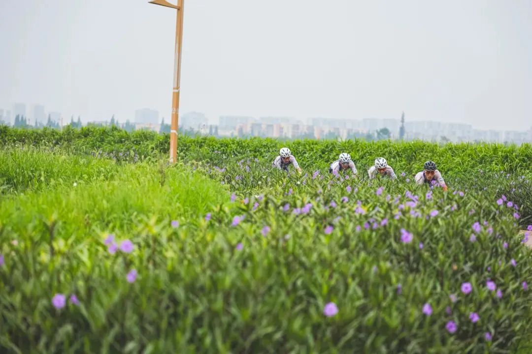 Preview: Chengdu Tianfu Greenway International Cycling Race Set for ...
